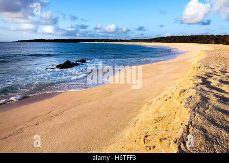 Ascension Island Georgetown Long beach famous for its turtle nesting ...