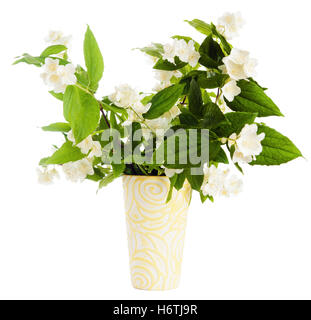 beautiful, beauteously, nice, leaf, colour, tree, park, garden, wide ...