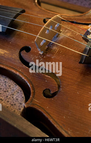 Violin string and bridge close up Stock Photo - Alamy