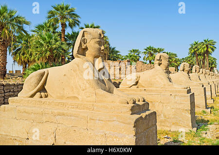 Sphinx statue from House of the Temple, Home of The Supreme Council, 33 ...