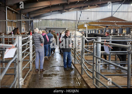 horse and livestock auction barn beeston castle england uk Stock Photo ...