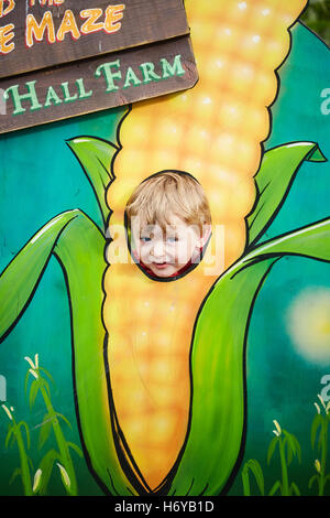 A corn maze or maize maze is a maze cut out of a corn field. The first ...