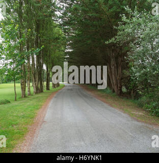 rural alley seen in Brittany, France Stock Photo - Alamy