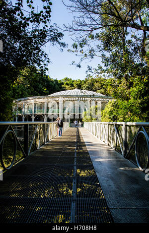 Wire Opera House. Curitiba, Parana, Brazil Stock Photo - Alamy