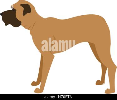 dog, illustration, breed, mastiff, cartoon, husky, education, comic ...