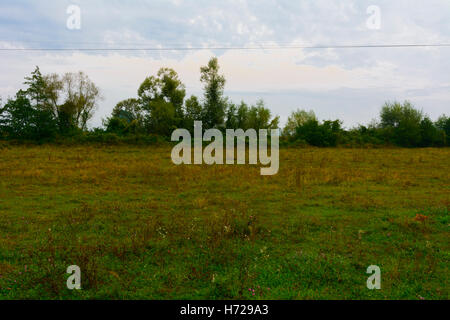 mountainous rural landscape of ukraine in autumn. moody highland woods ...