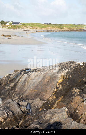 Renvyle Beach in Tully; Connemara; Galway; Ireland Stock Photo - Alamy