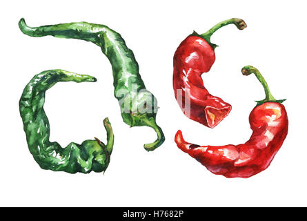 Red hot chili pepper. Hand drawn watercolor illustration isolated on ...