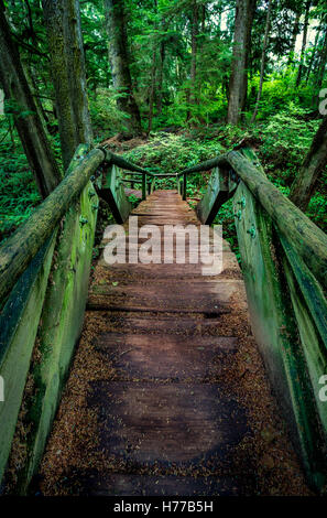 Wooden footpath bridge through lush tropical rainforest, Morne Blanc ...