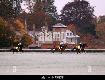 The racing town of Newmarket and the gallops, Warren Hill training ...