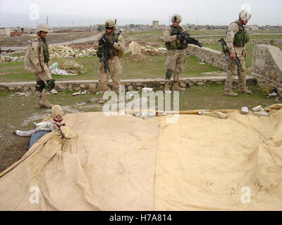 26th November 2004 ING and U.S. soldiers examine a dead body, dumped by ...