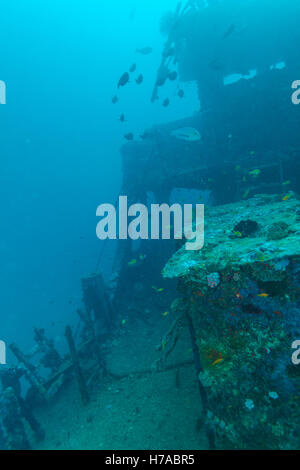 Remaining of cargo ship on ocean bottom, Maldives Stock Photo - Alamy