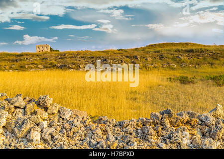ancient tower in the Apulian countryside Stock Photo - Alamy
