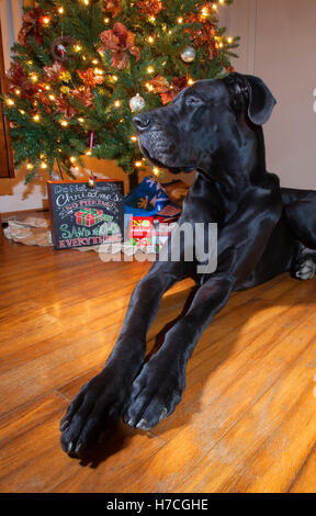 Black, gray letters with red, yellow, and orange spheres, thick lines ...