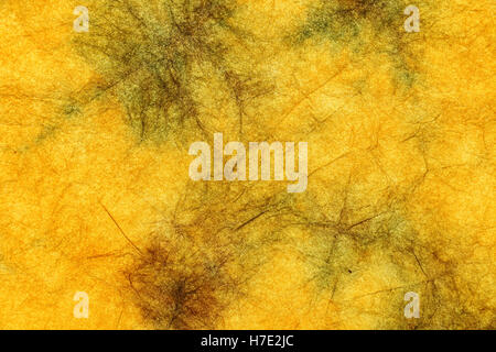 Japanese natural color paper texture background #5 Stock Photo - Alamy