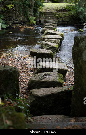 Stepping stones to Dunsford across the River Teign, Bridford Wood ...