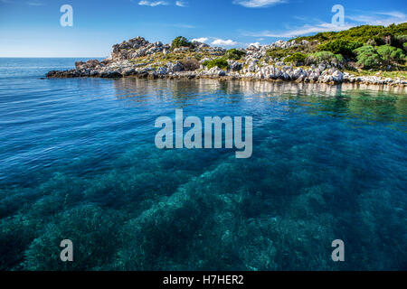 Lone small sandy island in the middle of blue sea Stock Photo - Alamy