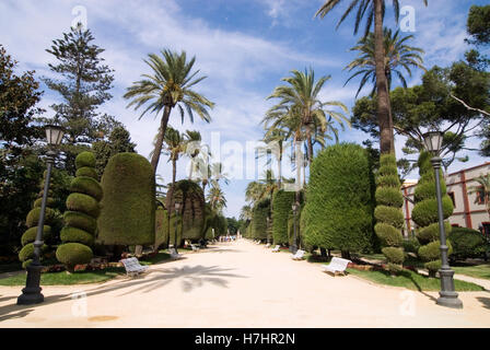 Parque Genoves, municipal park, Cadiz, Spain Stock Photo: 75067481 - Alamy