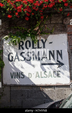 Rolly Gassmann vineyard in Rorschwihr in the Alsace wine region of ...