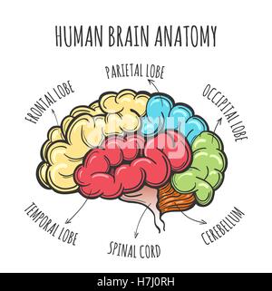 retro style brain icon isolated on beige background Stock Vector Image ...