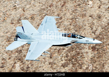 VX-31 Dust Devils F-18 Naval Air Weapons Station NAWS China Lake Stock ...
