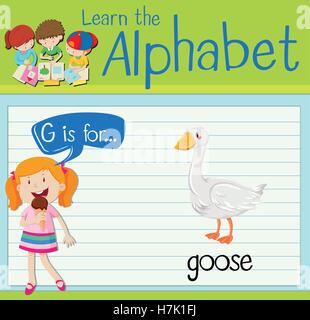Flashcard letter G is for goose Stock Vector Image & Art - Alamy