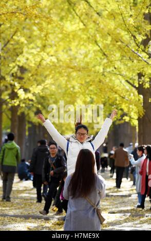 The Diaoyutai state guesthouse in Beijing, China Stock Photo - Alamy
