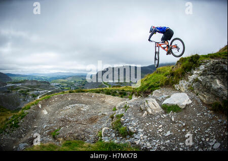 A mountain biker jumps a rock drop at Antur Stiniog mountain bike ...