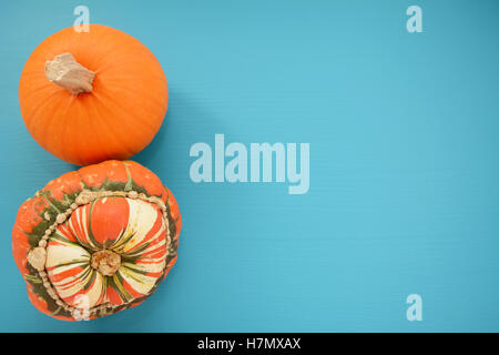 Ripe pumpkin and Turks turban squash on turquoise background Stock ...