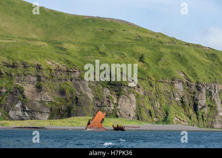 Alaska, Aleutian Island Chain, Rat Islands, Kiska Island, Aleutian ...