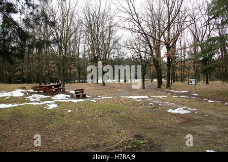 Wehrwolf in Vinnitsa, Ukraine. Hitler's bunker Stock Photo - Alamy