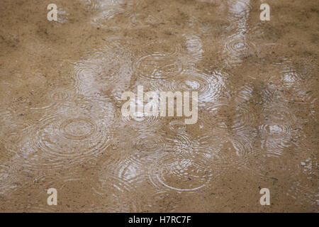 Concentric rings of ripples on a puddle Stock Photo - Alamy