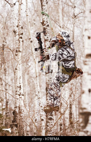 Hunter In Tree Saddle Tree Stand In Winter During A Deer Hunt Stock ...