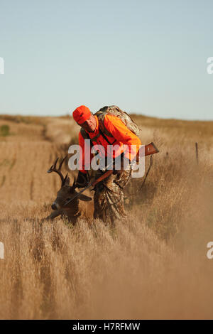 Deer Hunter Dragging Dead Deer Across Field Stock Photo - Alamy