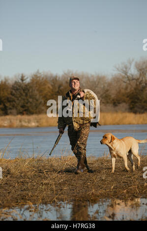 Golden retriever carrying dead bird Stock Photo - Alamy