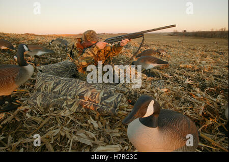 Waterfowl Hunters In Field Lay Down In Blinds Stock Photo - Alamy