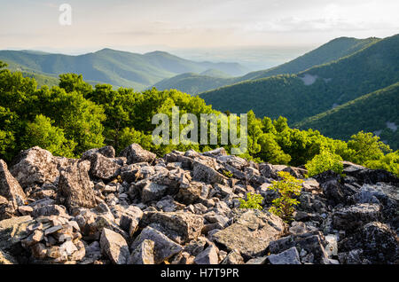 Shenandoah National Park Stock Photo - Alamy