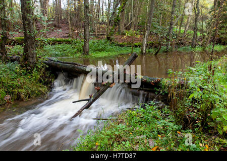 Natural flood risk management woody debris dam on the stream above ...