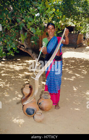 Irula Tribe member and professional snake catcher for venom extraction ...