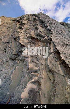 Sedimentary rock, some of the oldest exposed rock, uplifted and piled ...