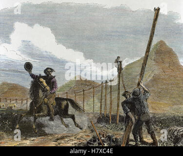 Telegraph Pole, 19th Century Stock Photo - Alamy