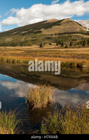 Alberta back country, Clearwater County; Alberta, Canada Stock Photo ...