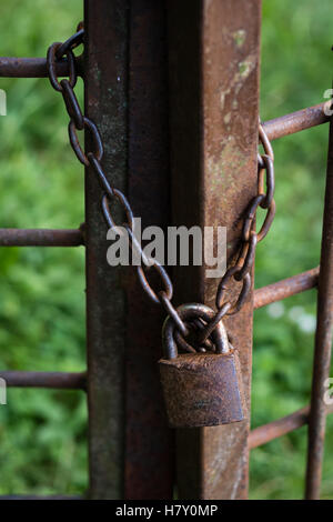 Old rusty padlock shackles a metal chain on a white background Stock ...