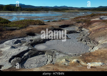 Geothermal mud pool, Kamchatka, Russia Stock Photo - Alamy