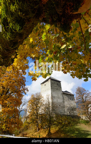 Kaprun: Kaprun Castle, maple trees, Pinzgau, Salzburg, Austria Stock ...