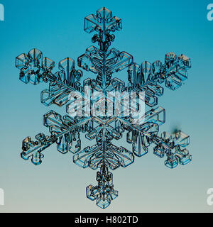 Snowflake seen through microscope Stock Photo - Alamy