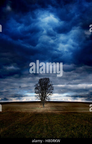 Storm Clouds approaching a field in Alberta Stock Photo - Alamy