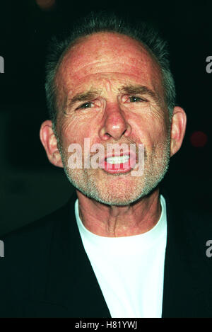 RON RIFKIN, DRAGONFLY, 2002 Stock Photo - Alamy