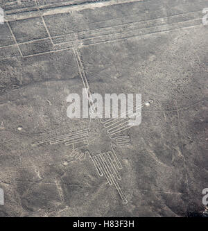 The Hummingbird geoglyph figure of the Nazca Lines in the Pampas de ...