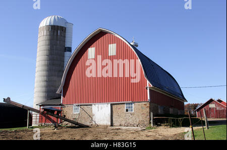 Wisconsin dairy farm with red barn and outbuildings and three tall ...
